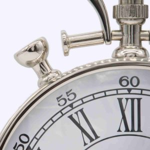 Grandfather clock “Silver” ° Darwin's Daughter